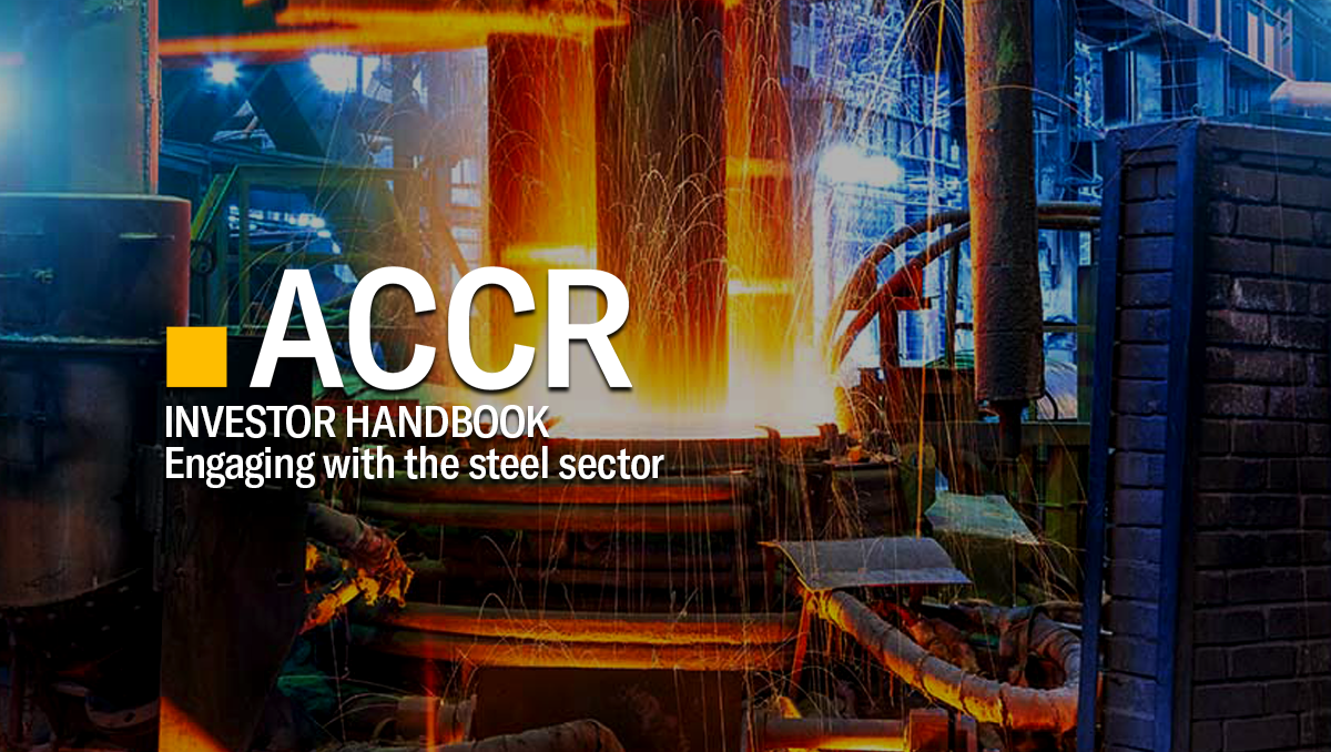 Investor handbook: Engaging with the steel sector - ACCR